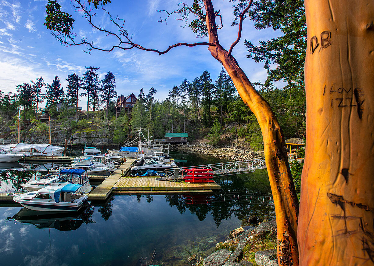 Pender Harbour Resort - The Marina